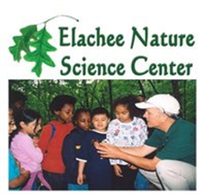 BEST MUSEUMS IN GEORGIA!