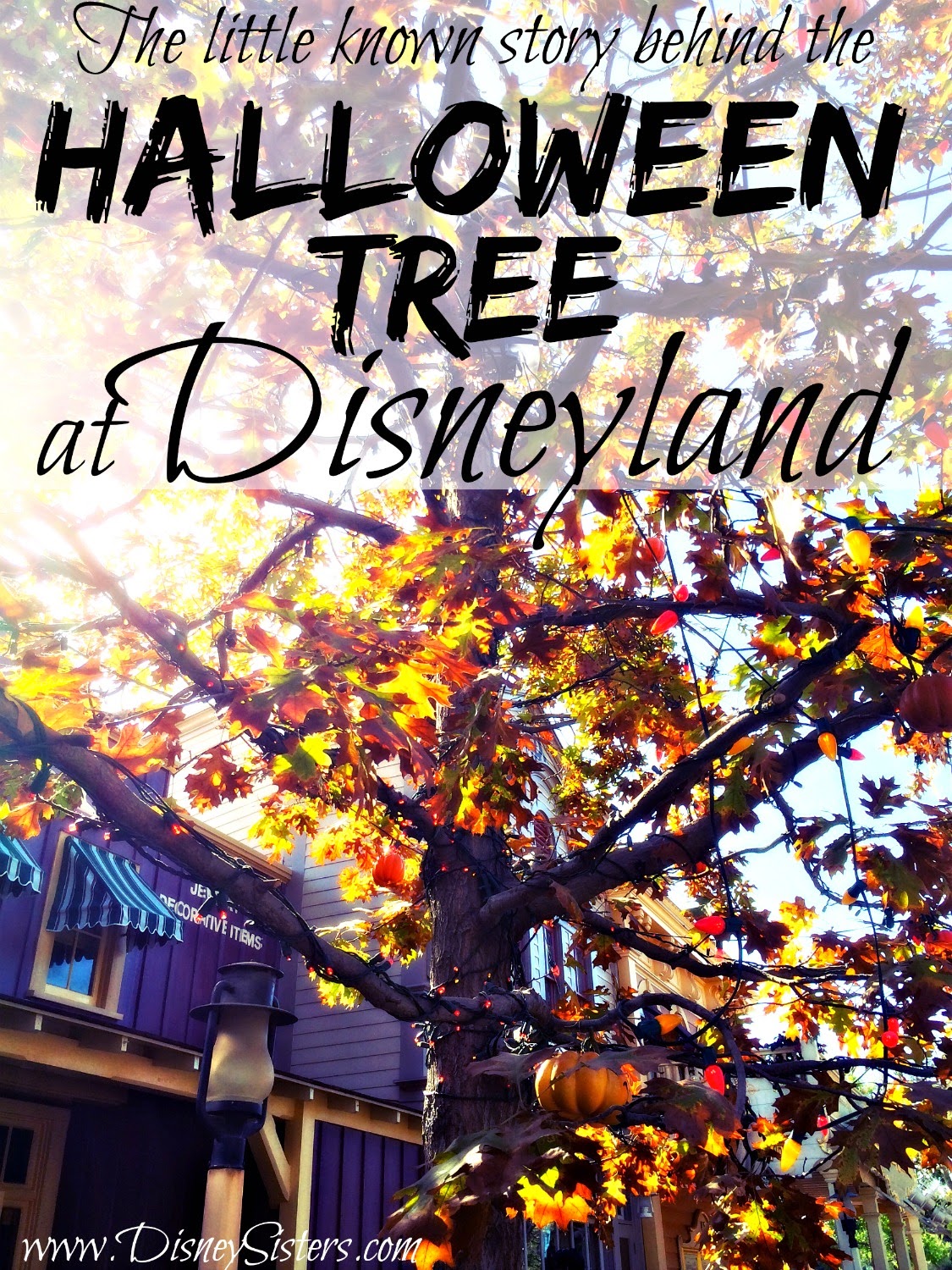 Disney Sisters: The 'Halloween Tree' shines at Disneyland during ...