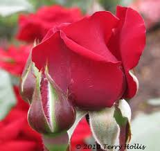 9 The Vaganova Ballet Academy Part 1 Future Prince of Ballet! | NHK ...