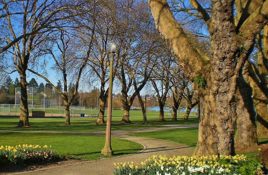 Urban Landscape, Native Landscape: Green Lake Park