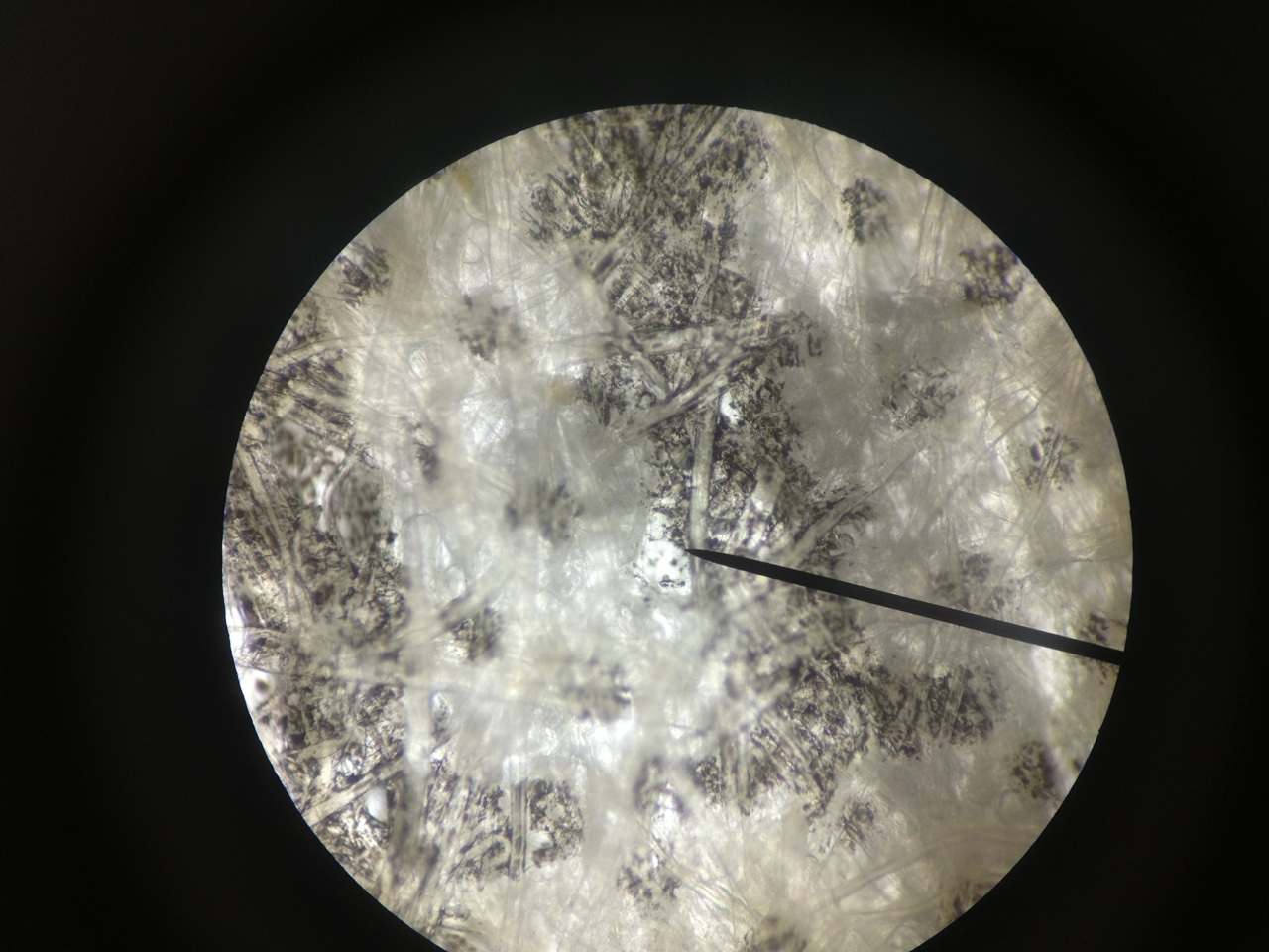 swifty science: Newspaper Microscope Lab
