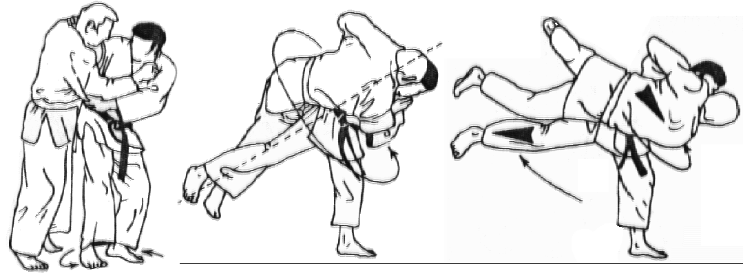 Sensei Angelo Villaça: Harai-Goshi (Koshi-Waza)