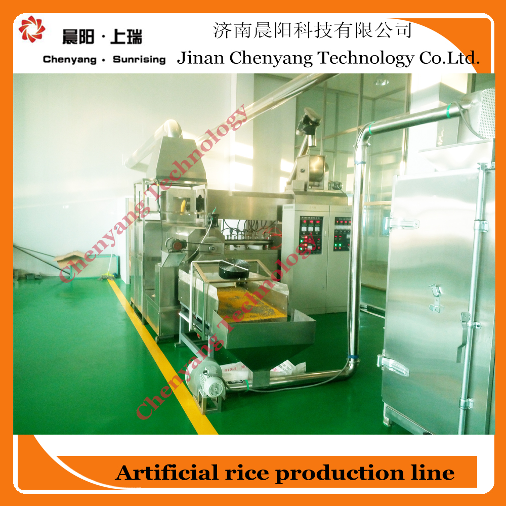 snack food production line: snack food production line