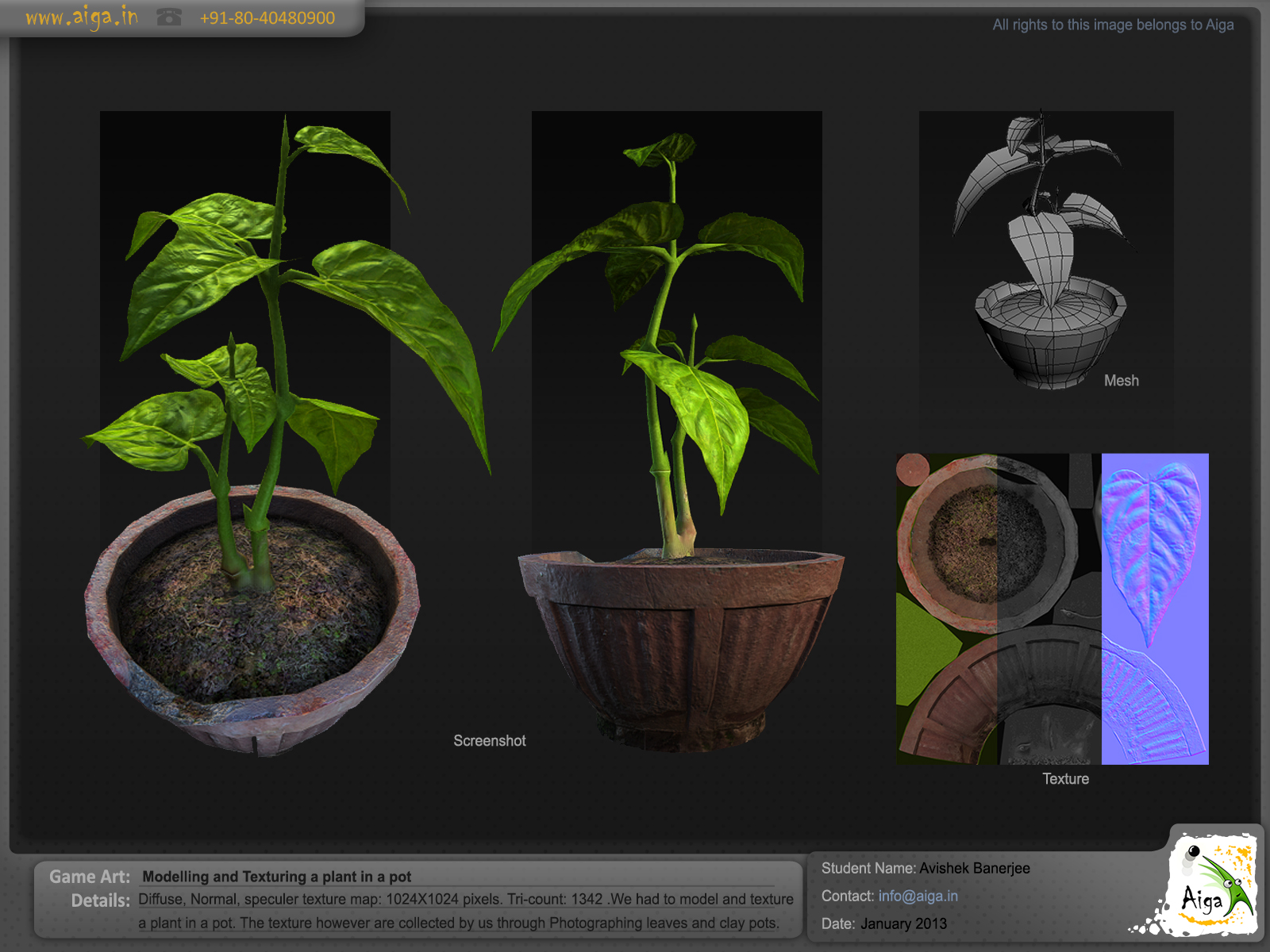 Avishek Banerjee 3D modelling/sculpting blog: Game Prop - Potted plant