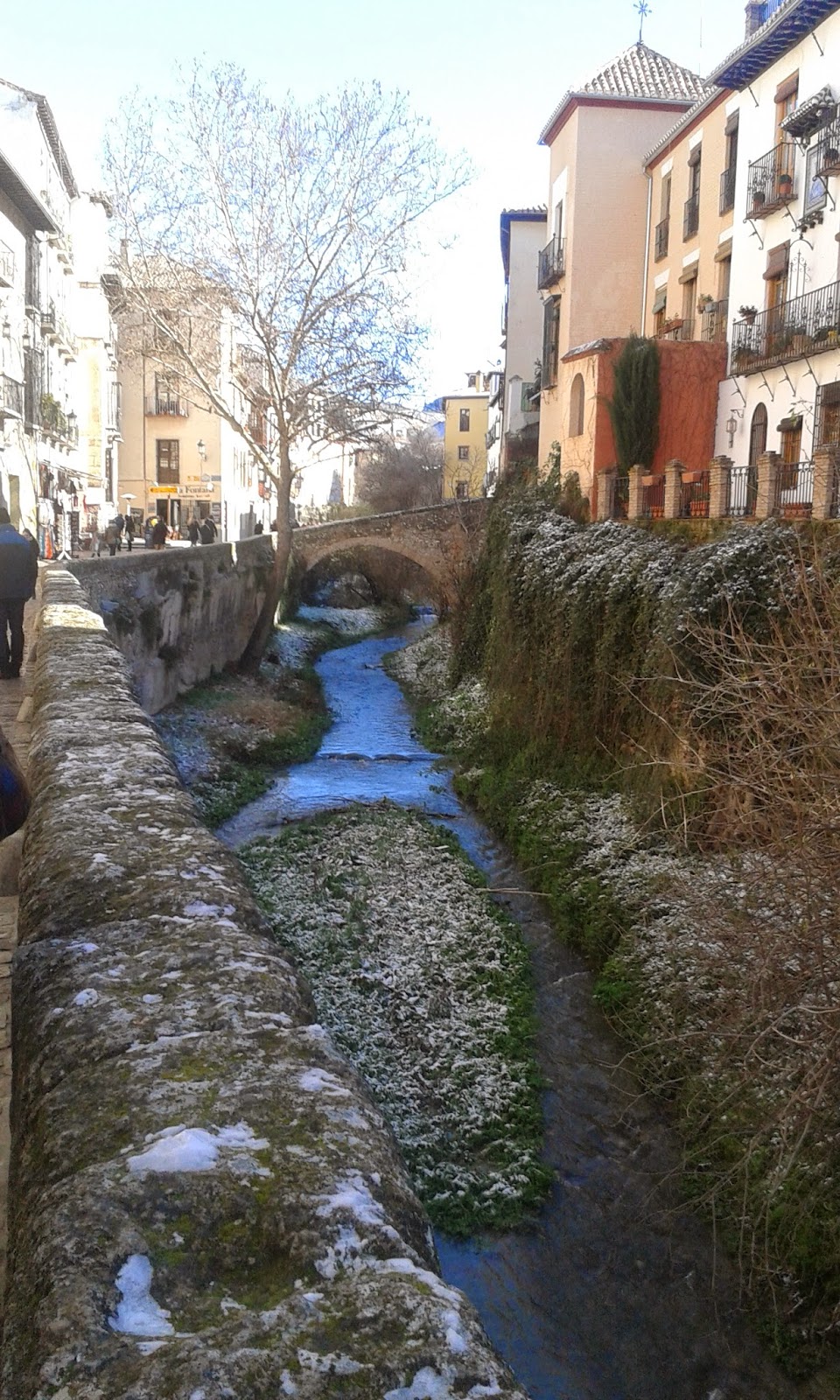 LA ODISEA DE LOS DÍAS: EL RÍO DARRO, A SU PASO POR GRANADA, EN INVIERNO