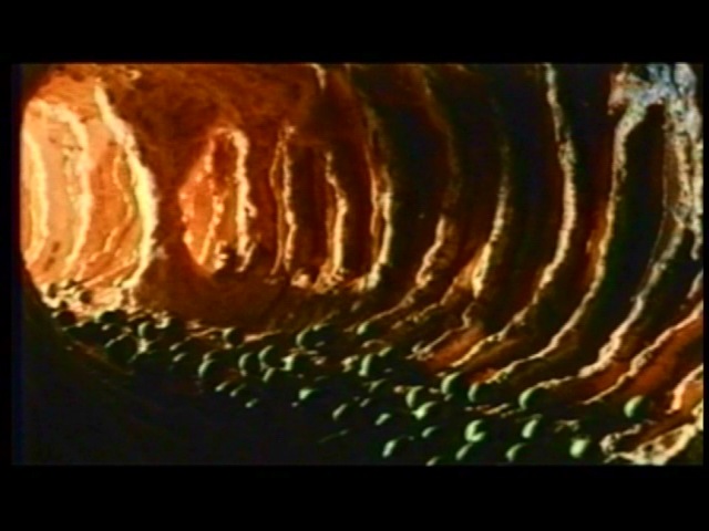 Shameless Pile of Stuff: Movie Review: Alien Contamination