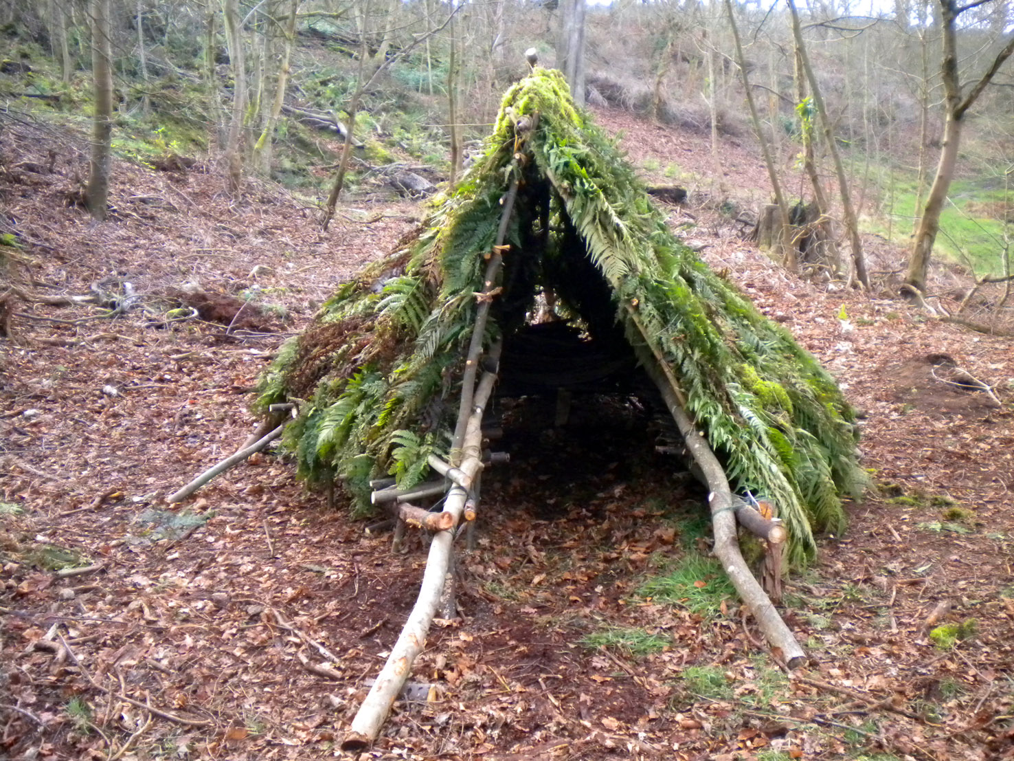 100 Wild Huts: Wild Hut 15