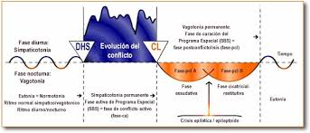 BETTY SALUD: MEDICINA GERMANICA DE HAMER OTRA MANERA DE VER LA ENFERMEDAD