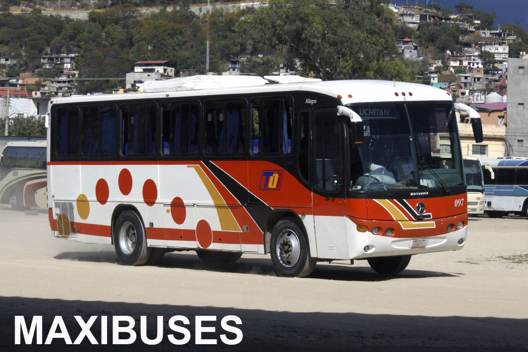 MAXIBUSES: TRANSPORTES OAXACA ISTMO
