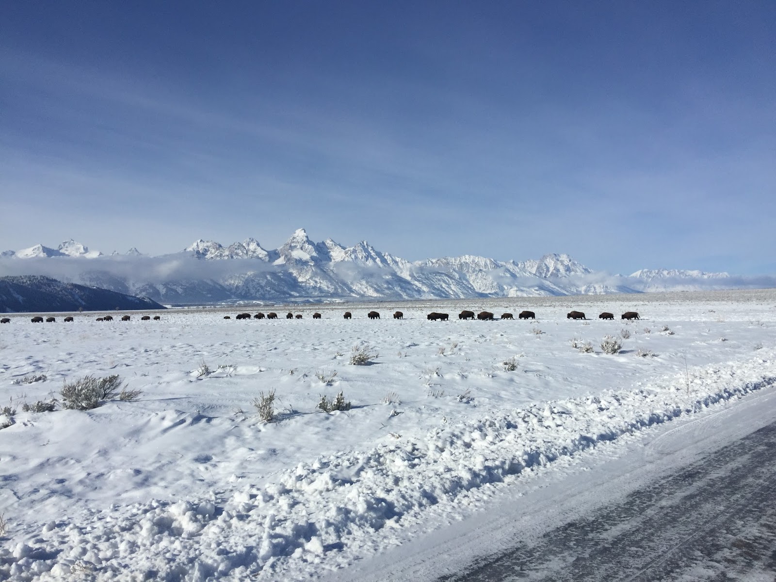 Jackson Family Robinson: Snow big deal....