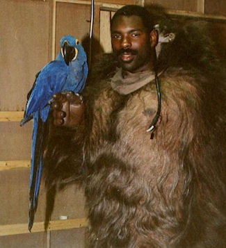 The Presurfer: 15 Giant Actors With Short Careers in Hollywood