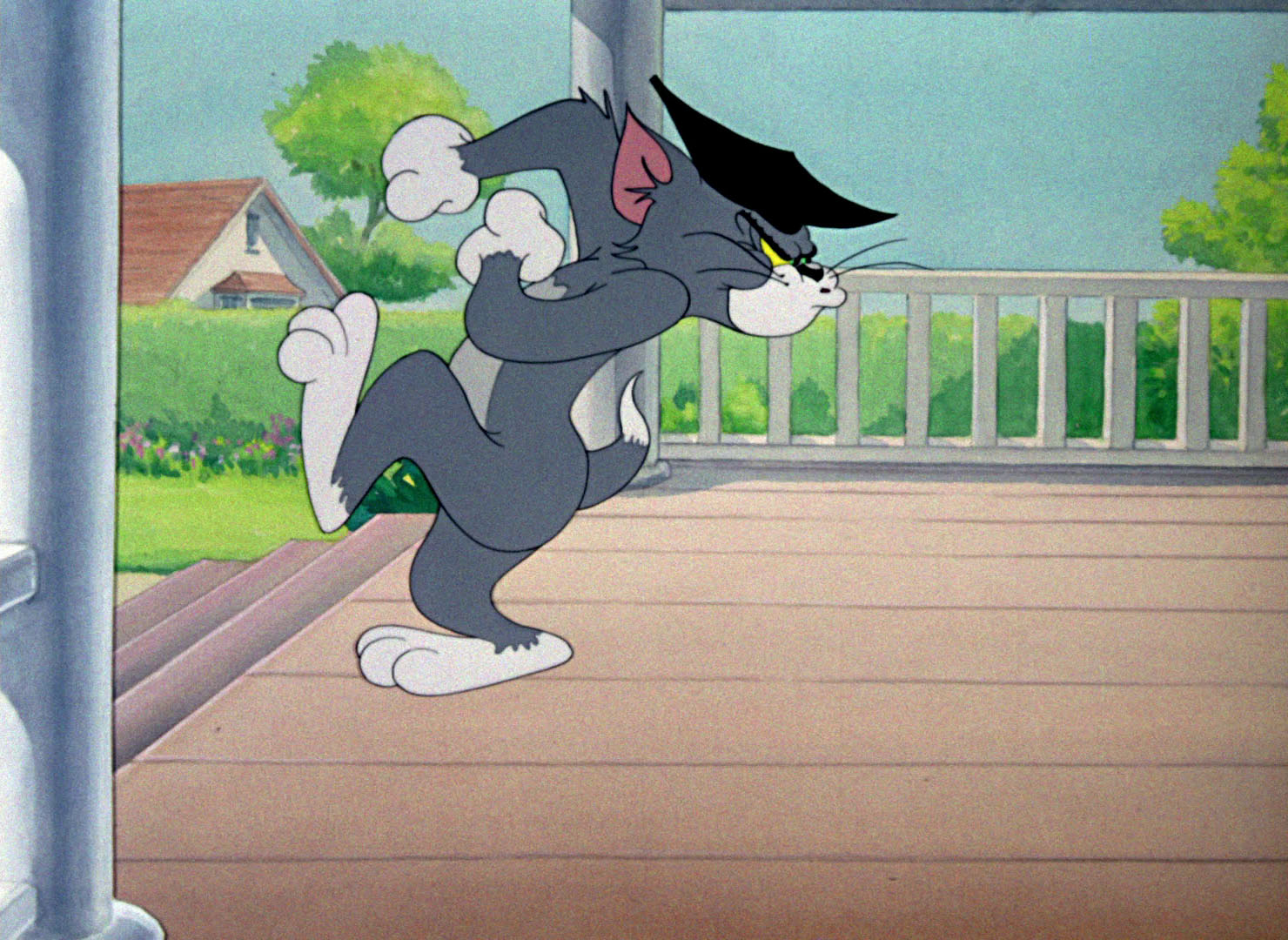 Tom & Jerry Pictures: "Professor Tom"