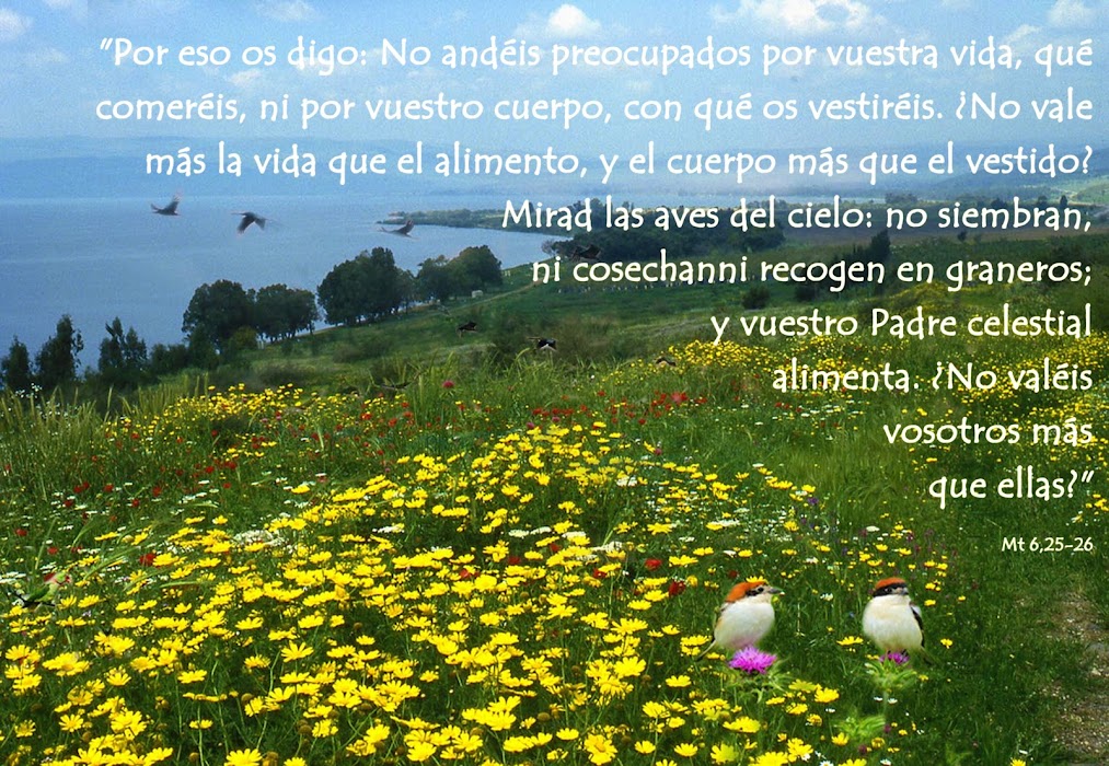 EVANGELIO DE MATEO: "MIRAD LAS AVES DEL CIELO" Mt 6, 25-26