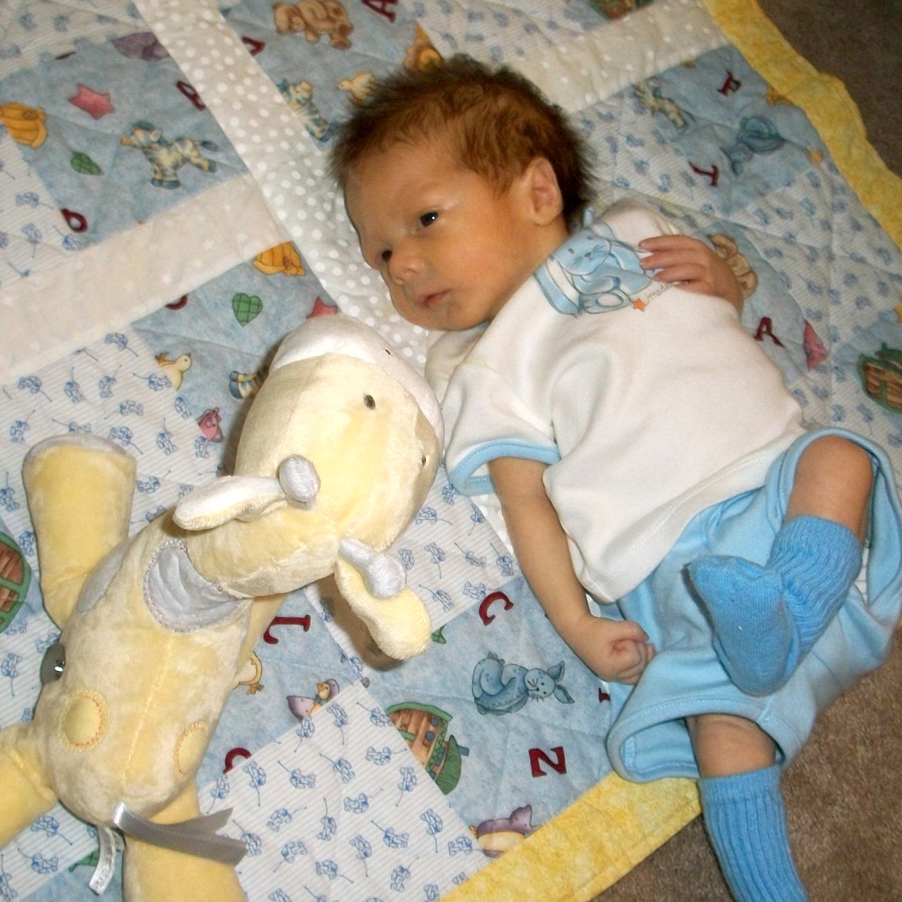 No Need Of Spoil: Cloth Diaper Inserts Tutorial