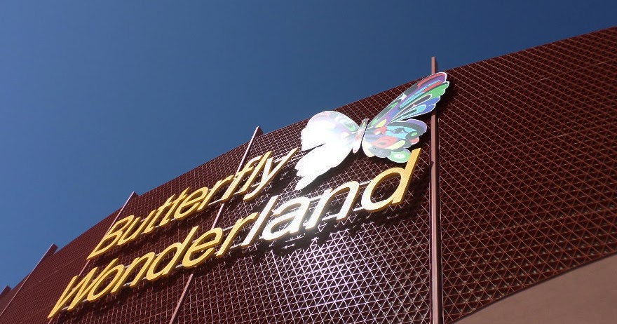 Butterfly Wonderland