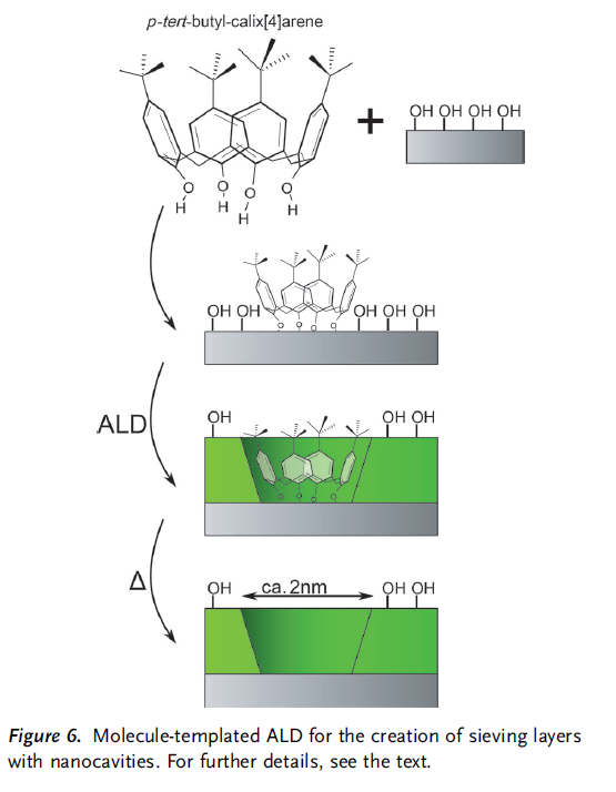 BALD Engineering - Born in Finland, Born to ALD: Open Source Review ...