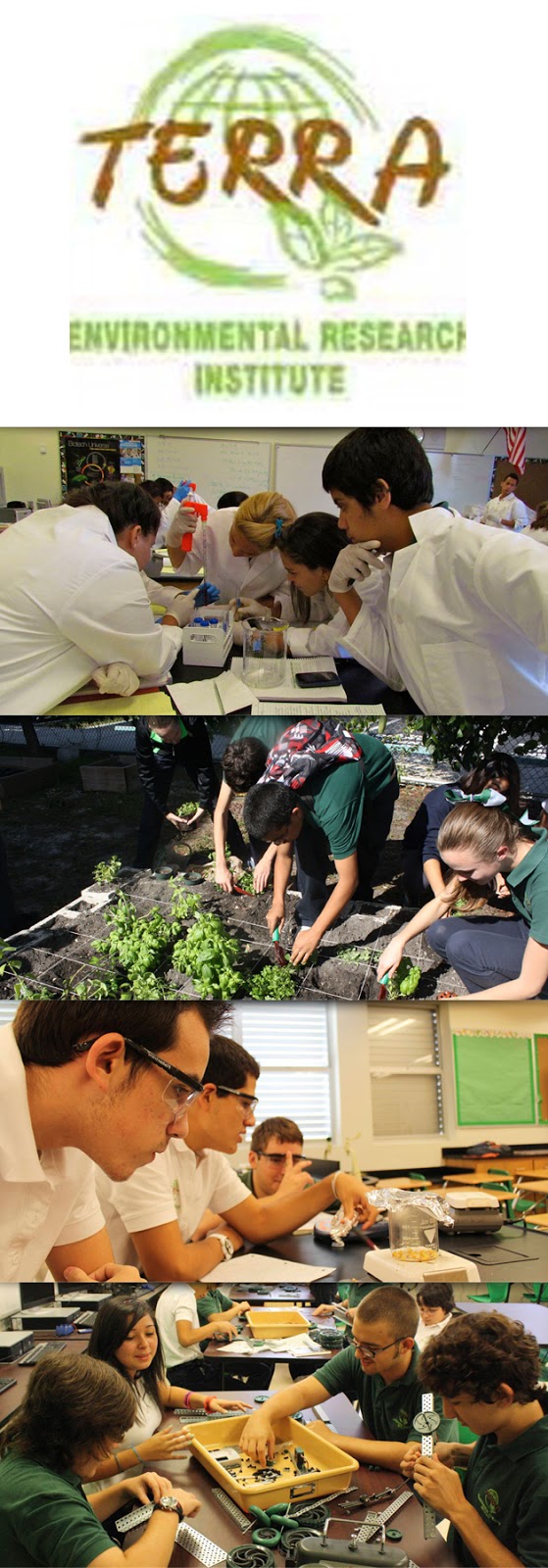 Casa de Miami: Los Mejores Colegios - Terra Environmental Research ...
