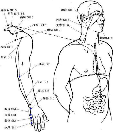 Magic Shiatsu : THE Small Intestine Meridian
