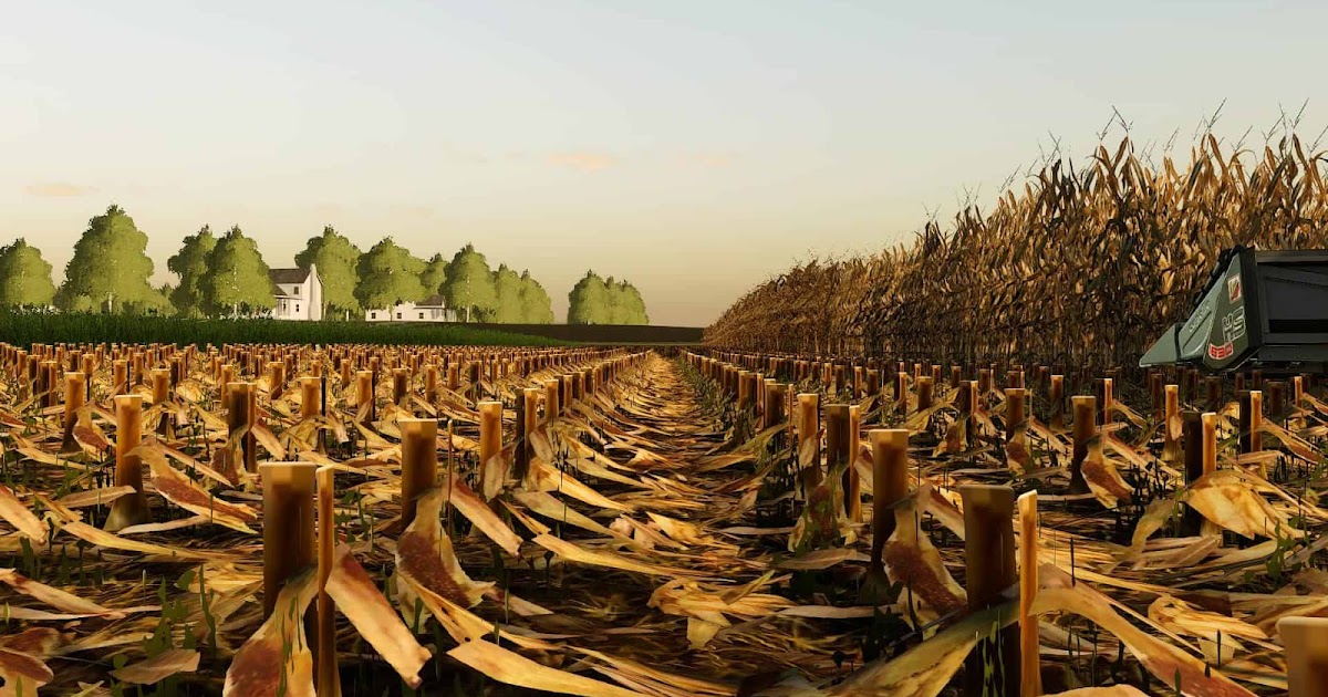 FS19 Corn and Soybean Textures v3.0 - FS 19 & 22 USA Mods Collection