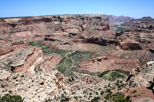 Mom's Family: A Friend to All