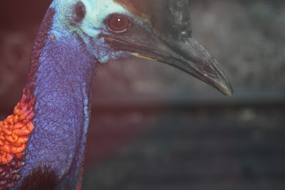 BunyipCo: April 2013