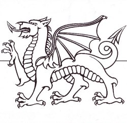 Celtic Amusings: Wales Colouring Pages and Books