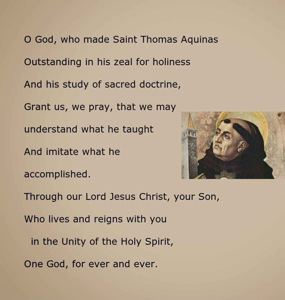 Daily Homilies: Memorial of Saint Thomas Aquinas, Priest and Doctor of ...