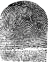 CLASES DE DACTILOGRAMAS: CLASES DE DACTILOGRAMAS