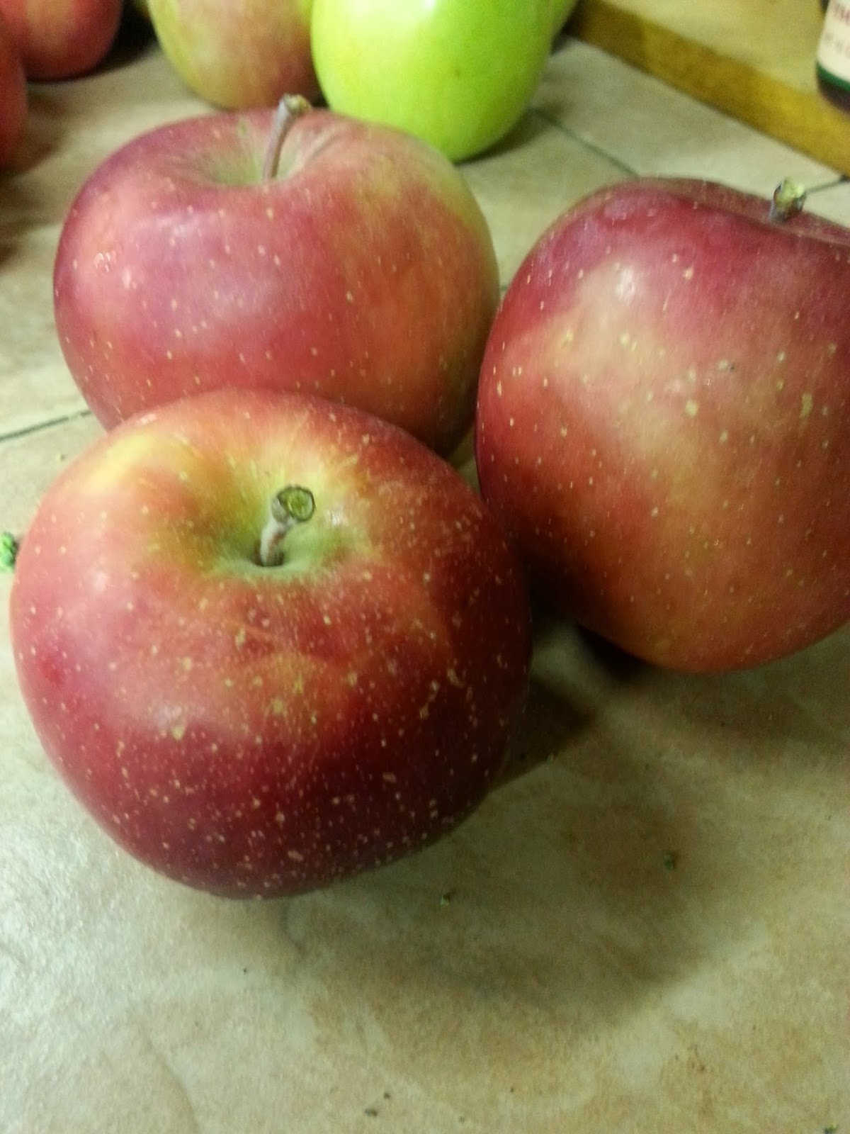 Stony Hill Farms CSA: November 7 & 9 CSA Update