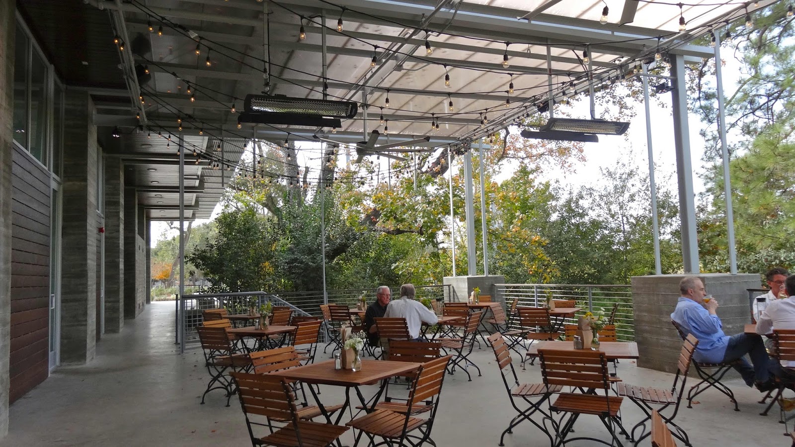 The Bayou Botanist: The Nymph's Treehouse