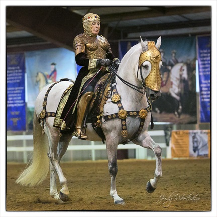 The Virginia Horse Center ~~~ Over the Rail : Baroque Games Review. The ...