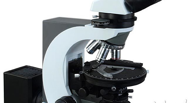OMAX MicroscopeNet: Polarizing Microscopes Explained