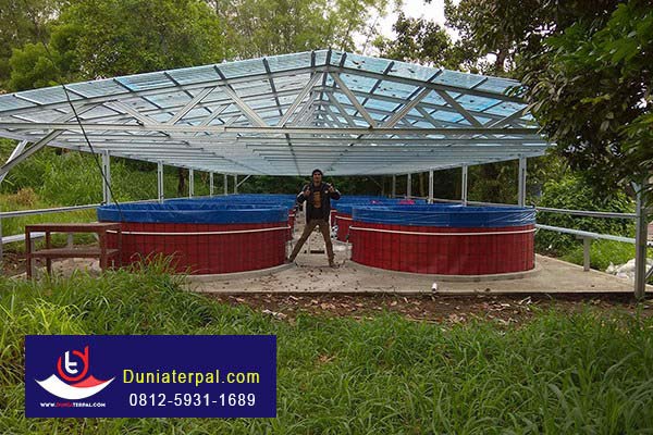 Kolam Terpal | Budidaya Ikan Lele | Ternak Lele Bioflok | Jual Kolam ...