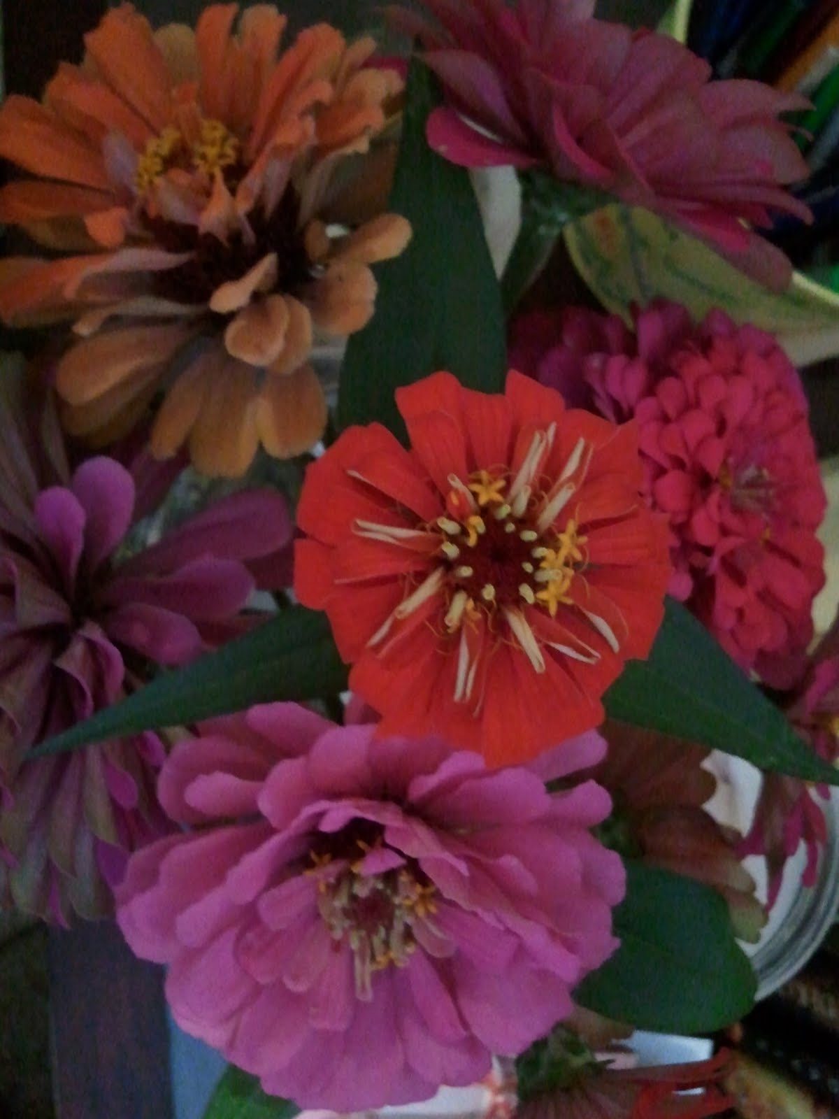 Beautiful Occupations: Zenia Flowers