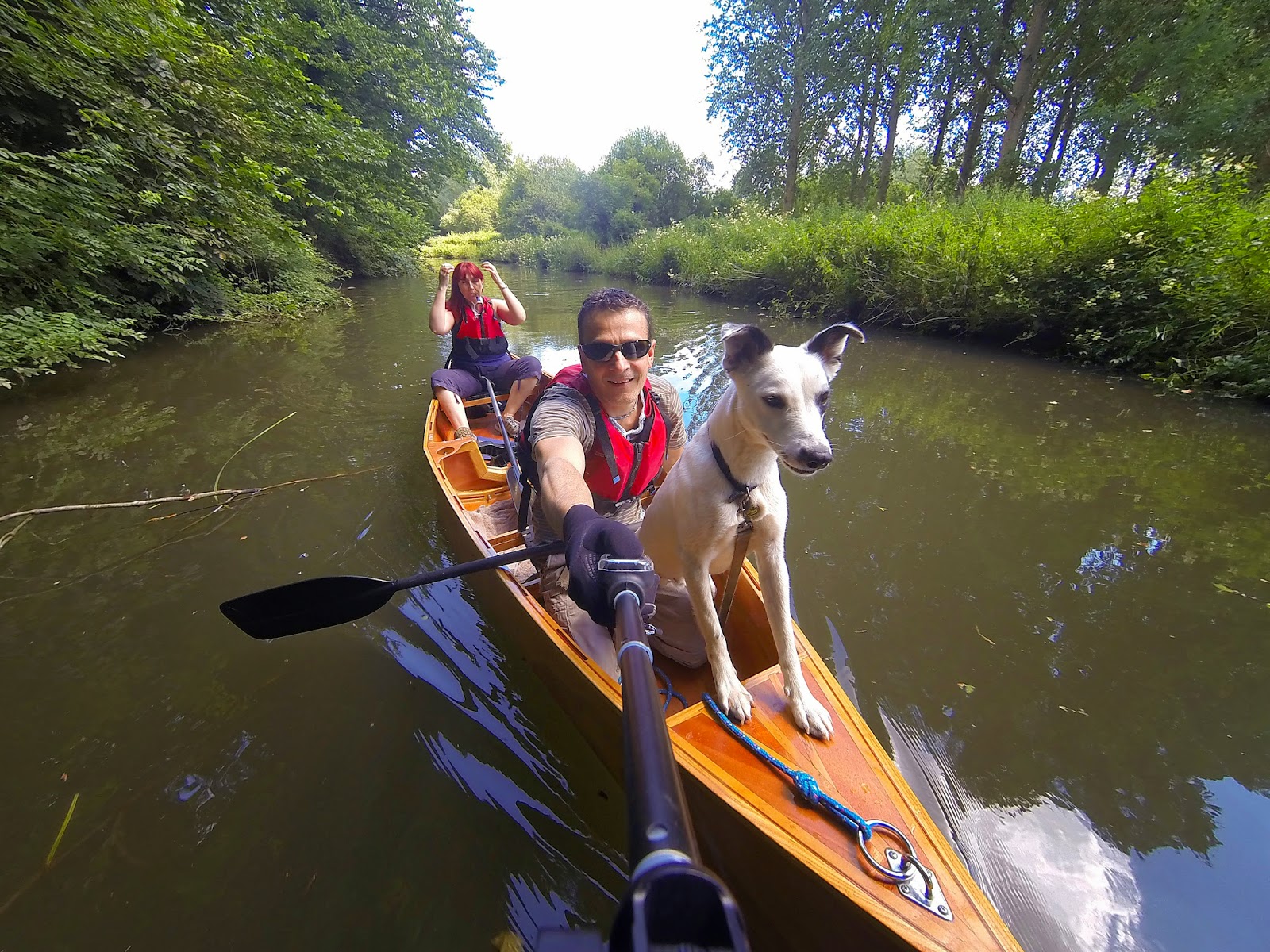 A canoe in two halves