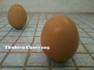 Tibetan Buddhism and Culture: Eggs balancing up on a Chinese Lap Chun day