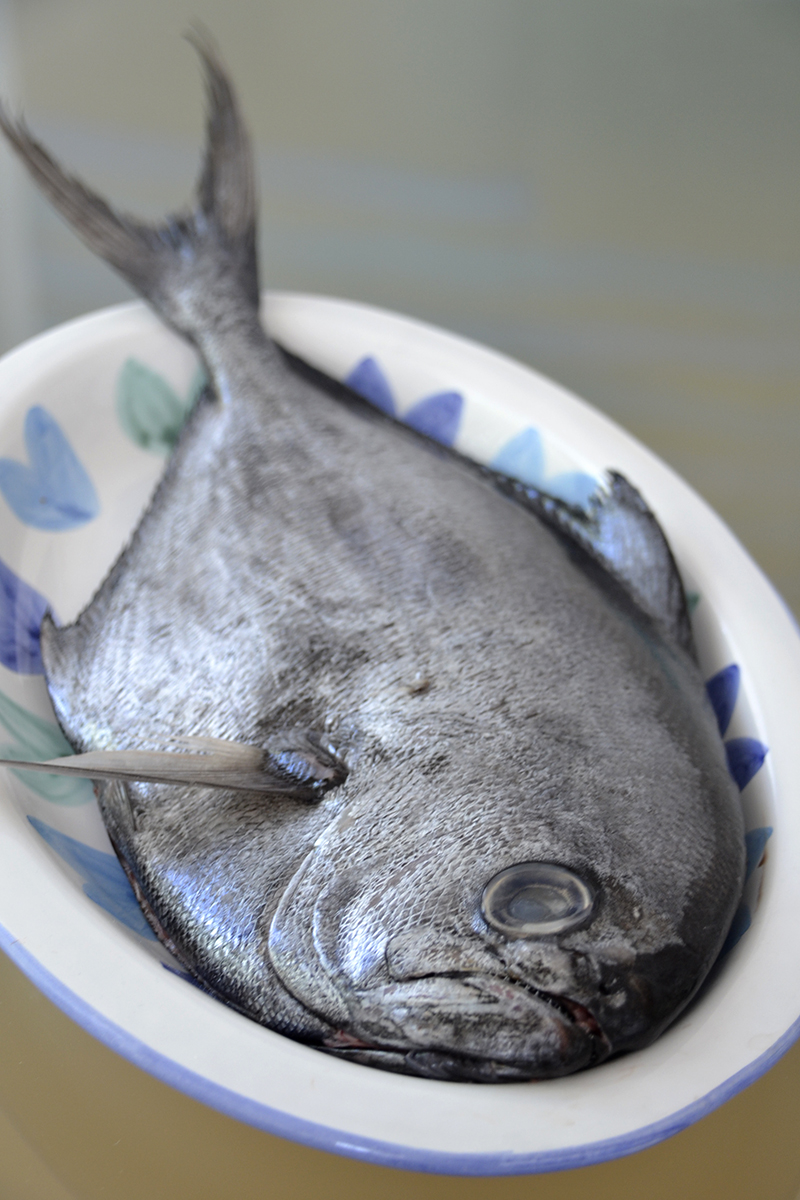 POVERIMABELLIEBUONI: IL PESCE CASTAGNA