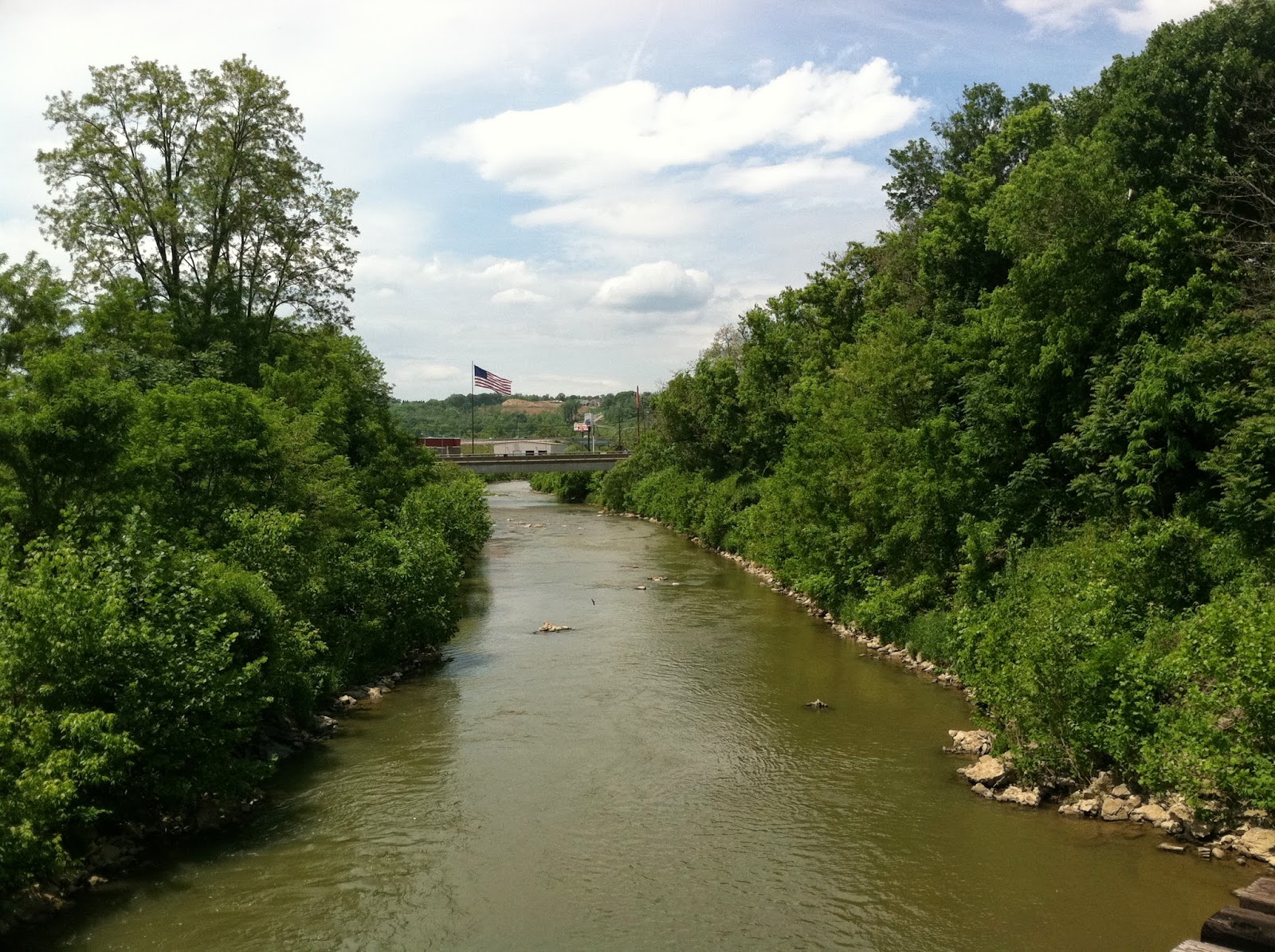 Snow and Jaggers: Railroad Bridge over Chartiers Creek