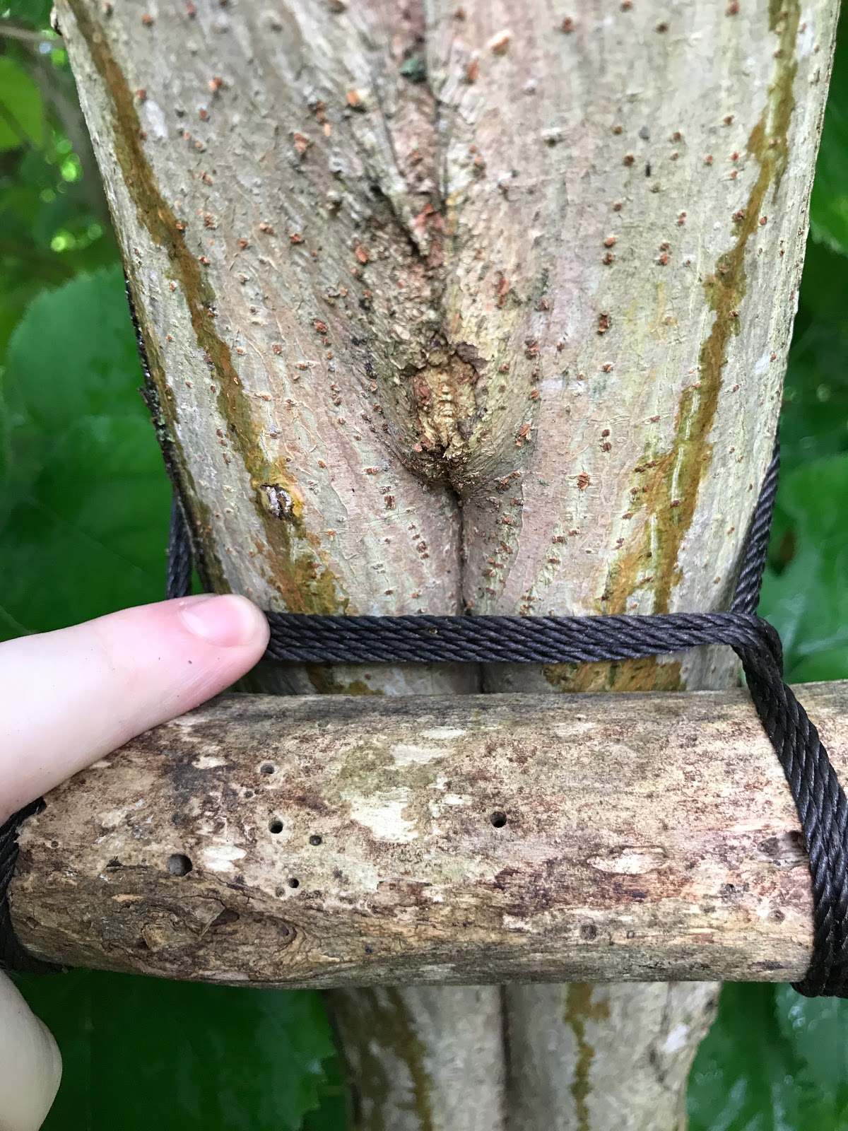 BackPack BushCraft: 1 2 3 Start Lashing with Me: Basic Lashing Knots ...