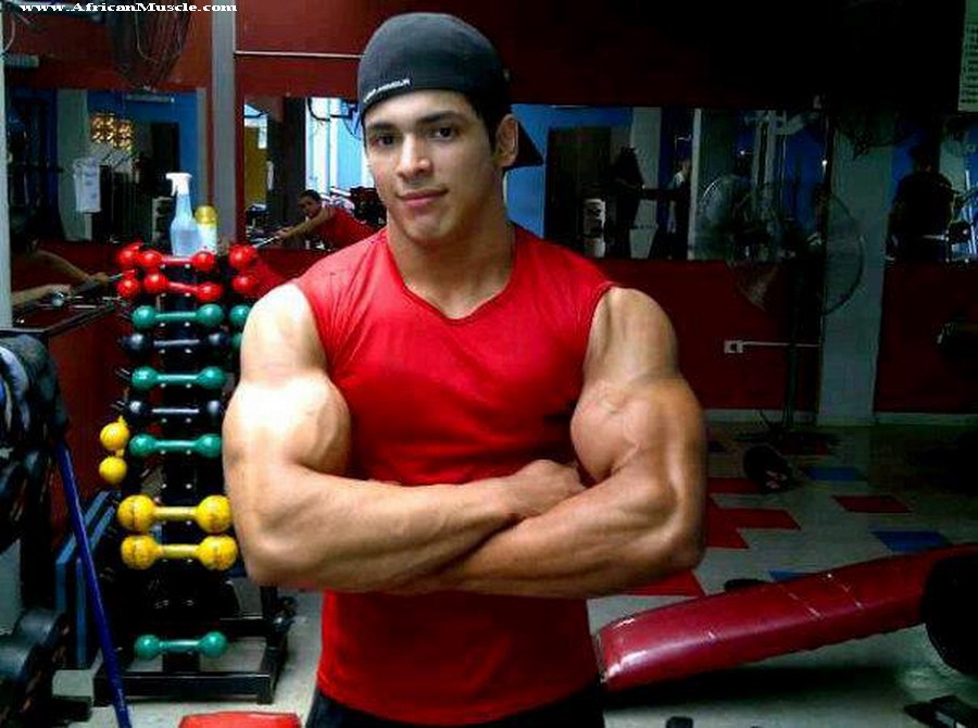 the beauty of male muscle: Romaine