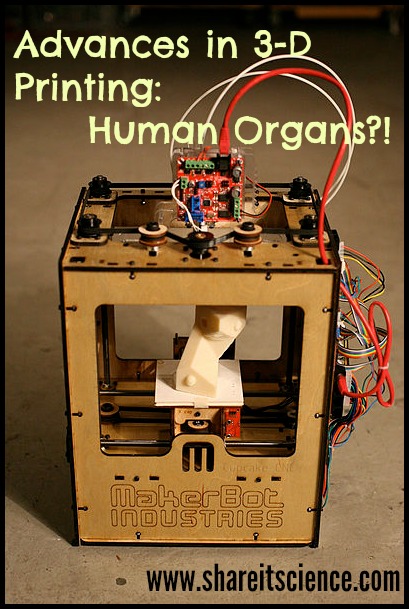 Share it! Science : Advances in 3-D Printing: Human Organs!