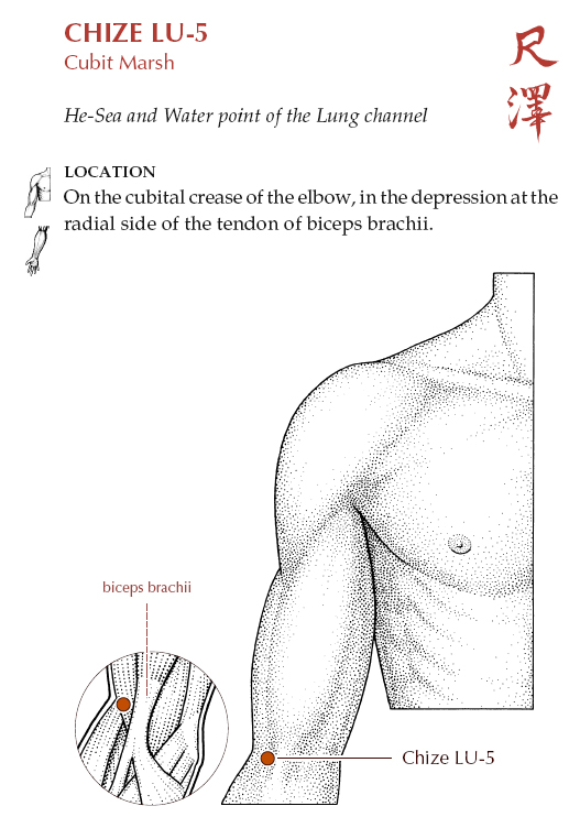 Acupuncture Masters: Acupuncture Points Database - Lung Channel