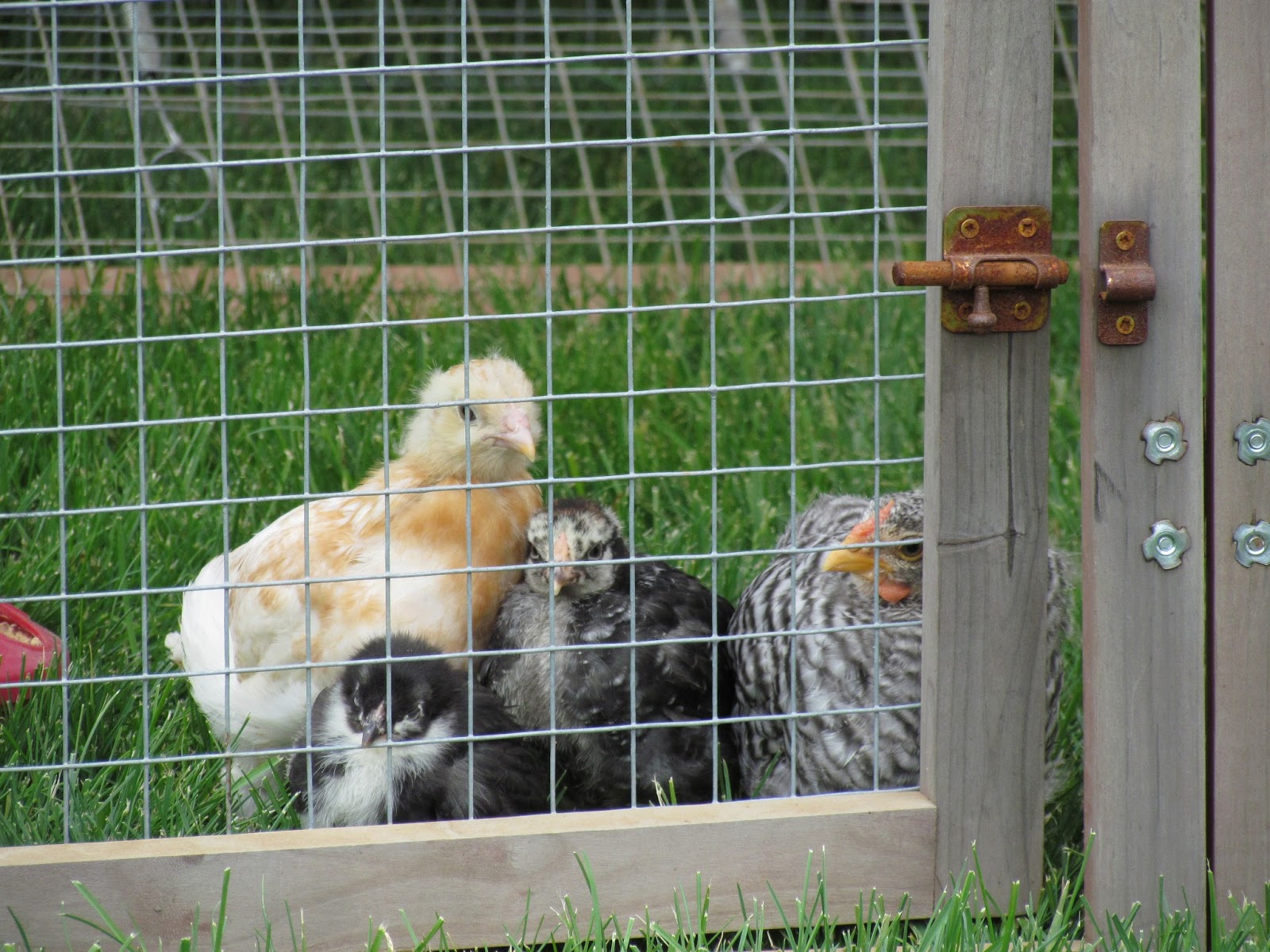 The Adams' Family Farm