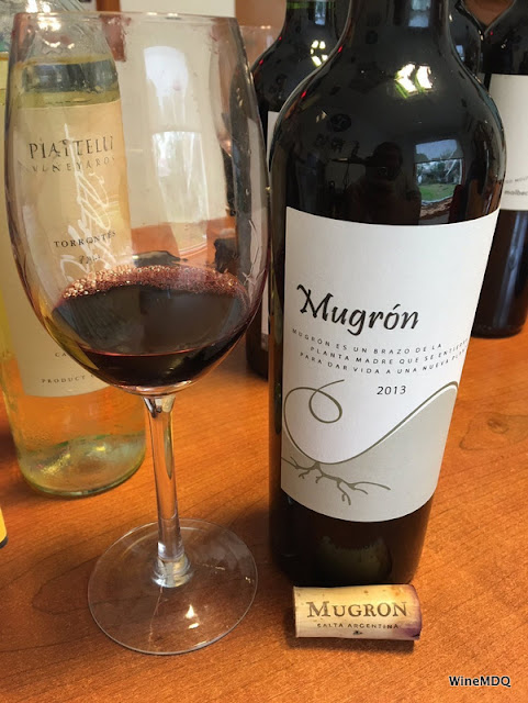 Wine MDQ: Cinco amigos y un sueño hecho realidad..."Mugrón"