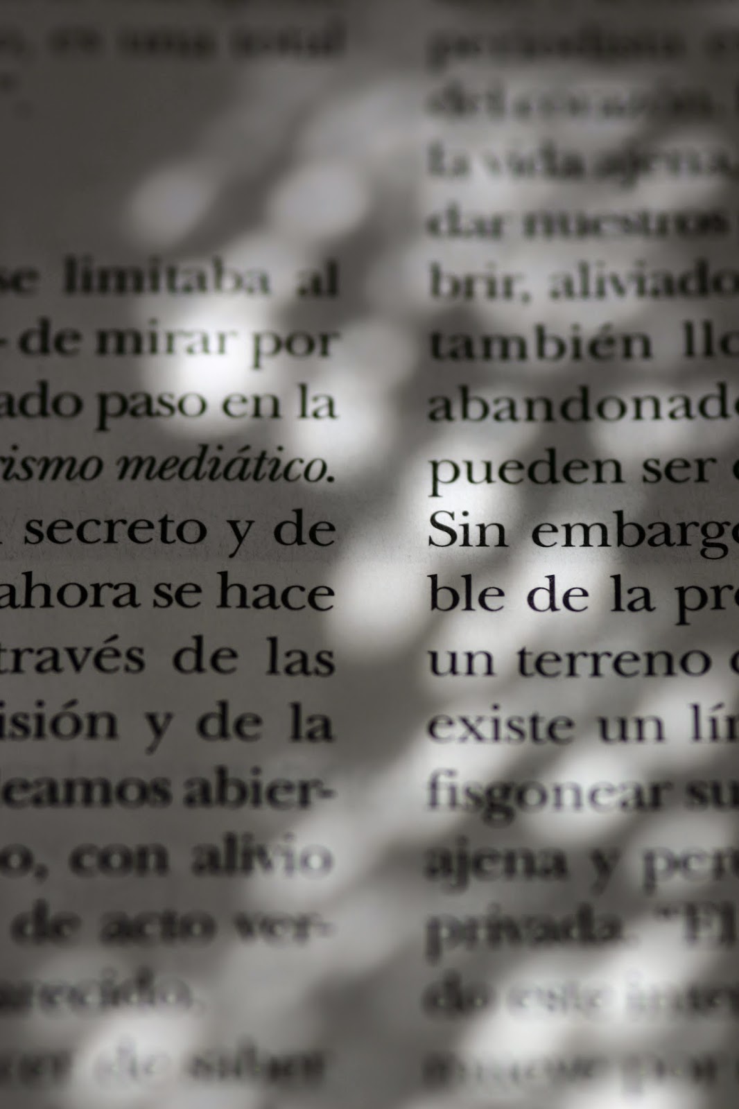 Punto y Seguido: EL ESTILO DEL ESCRITOR