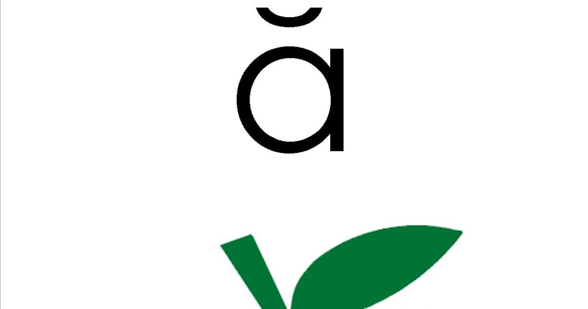 What Is The Symbol Above A Short Vowel Called - Design Talk