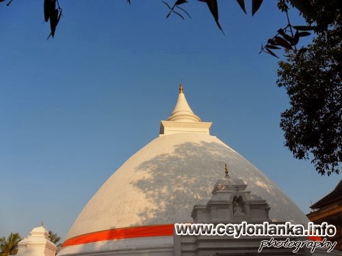 Kelaniya Raja Maha Vihara ( Kelaniya Temple )