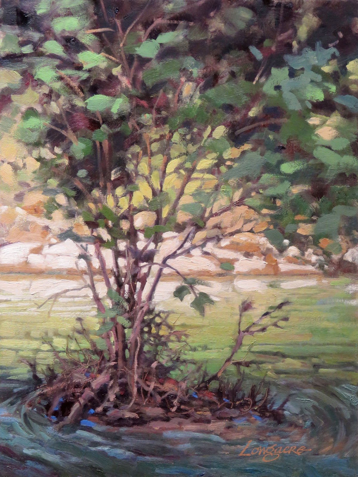 Plein Air Artists International: Jimmy Longacre_subjective realist ...