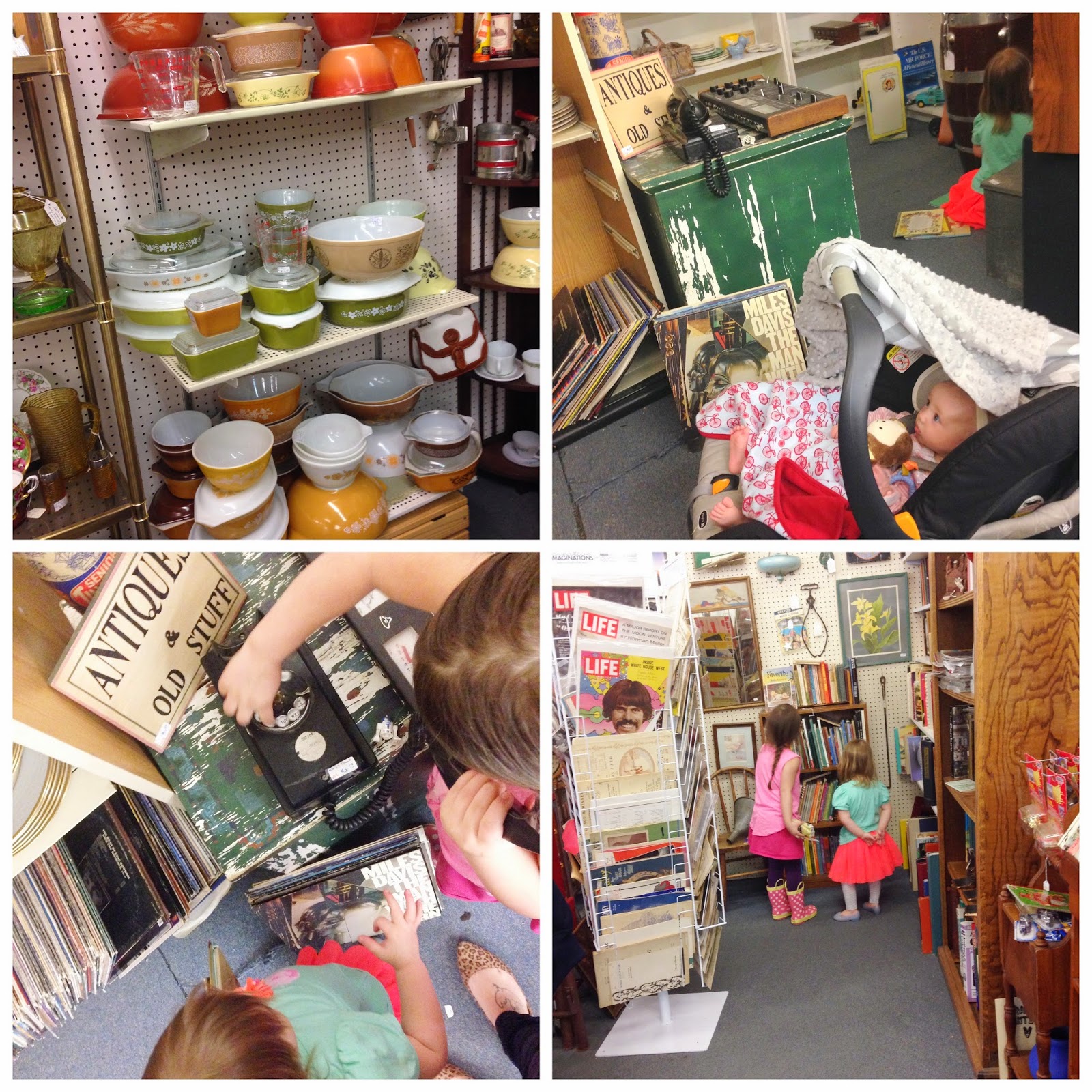 Ashlea Carlin: Treasure Hunting