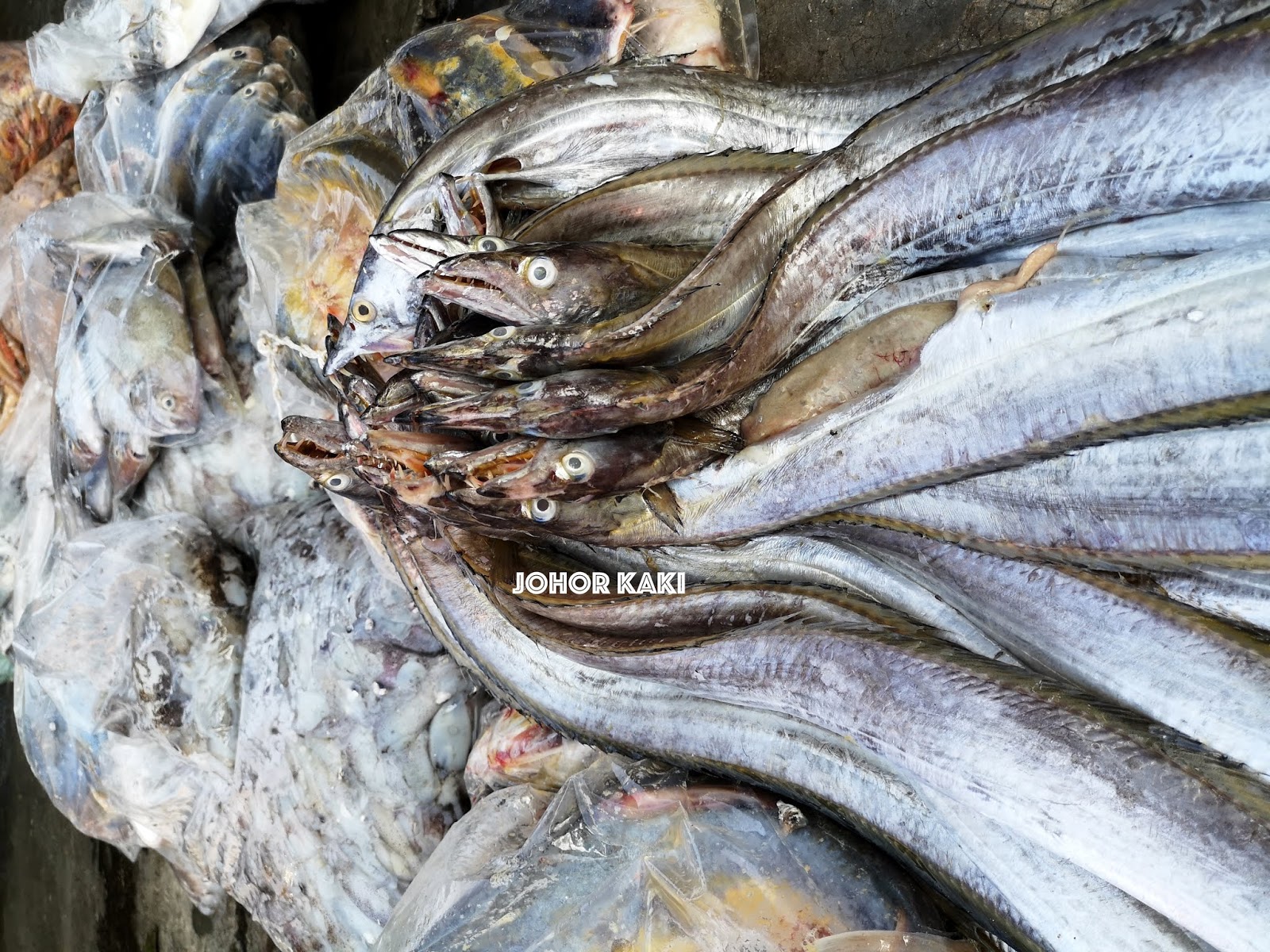 Pontian Wholesale Fish Market Update 2018 |Tony Johor Kaki Travels for ...